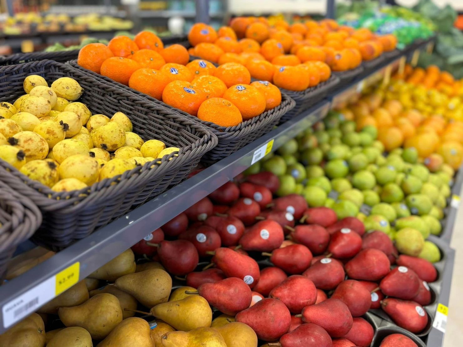 PRIMA DELI and Catering - Your Info Bank