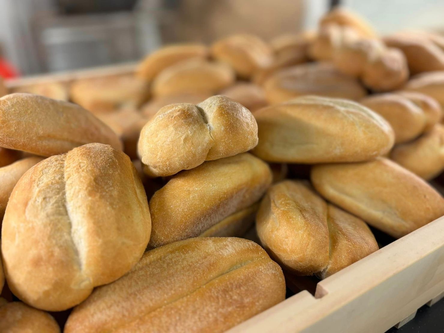 PRIMA DELI and Catering - Your Info Bank