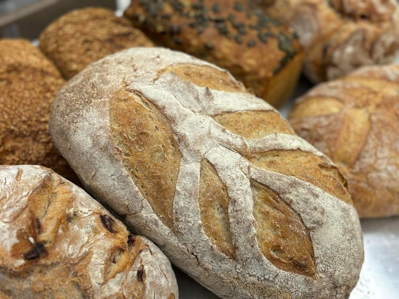 PRIMA DELI and Catering - Your Info Bank